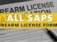 Firearms Control Act Breakdown In South Africa - GUNLINK Licensing ...