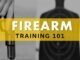 SAPS Firearms License Forms - GUNLINK Licensing Consultants